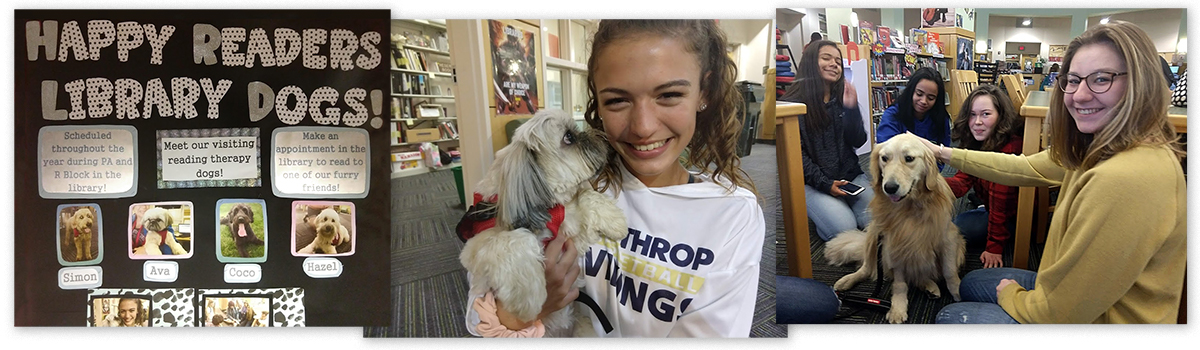 Creating a Therapy Dog Program To Promote Reading, Reduce Stress ...